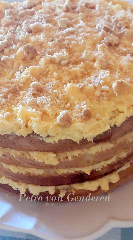 BISMARCK DU PLESSIS SE VLAKOEK - Your Recipe Blog