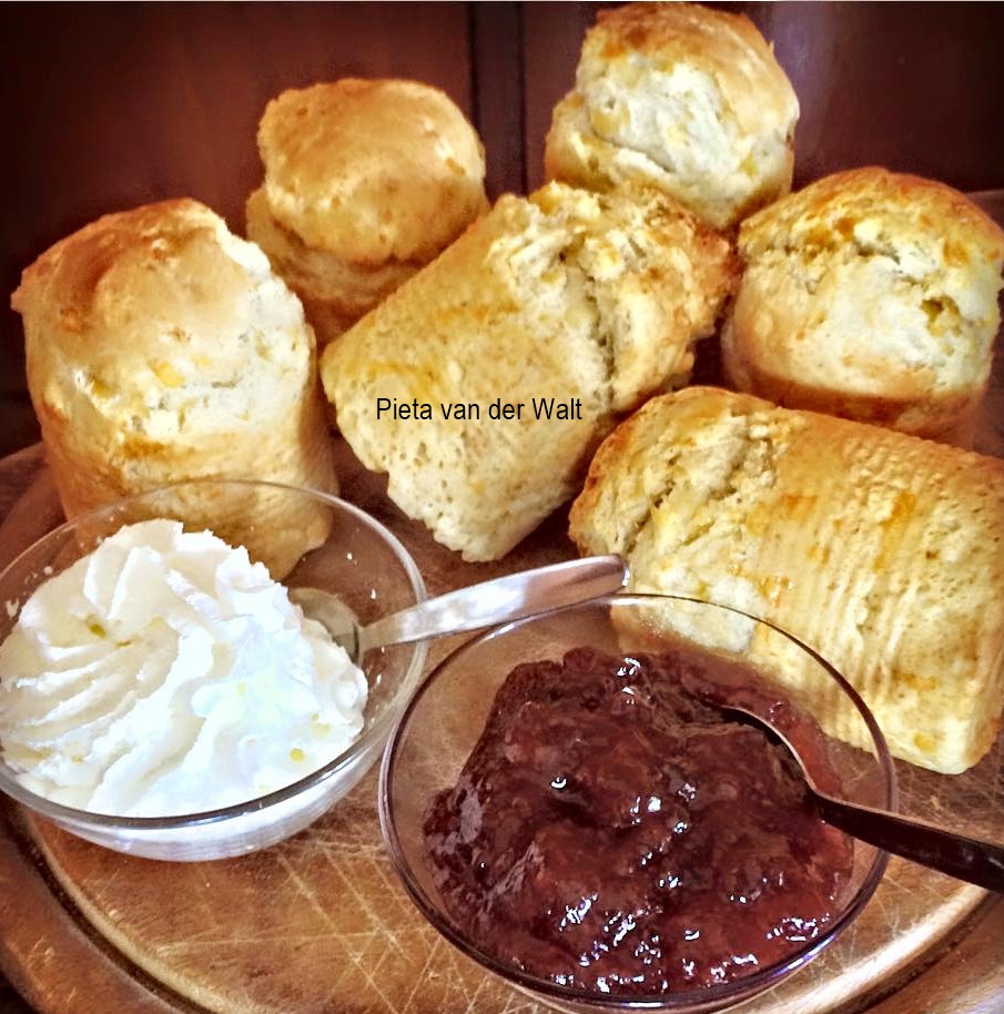 LINDA SE FLOPVRYE SKONS - Your Recipe Blog