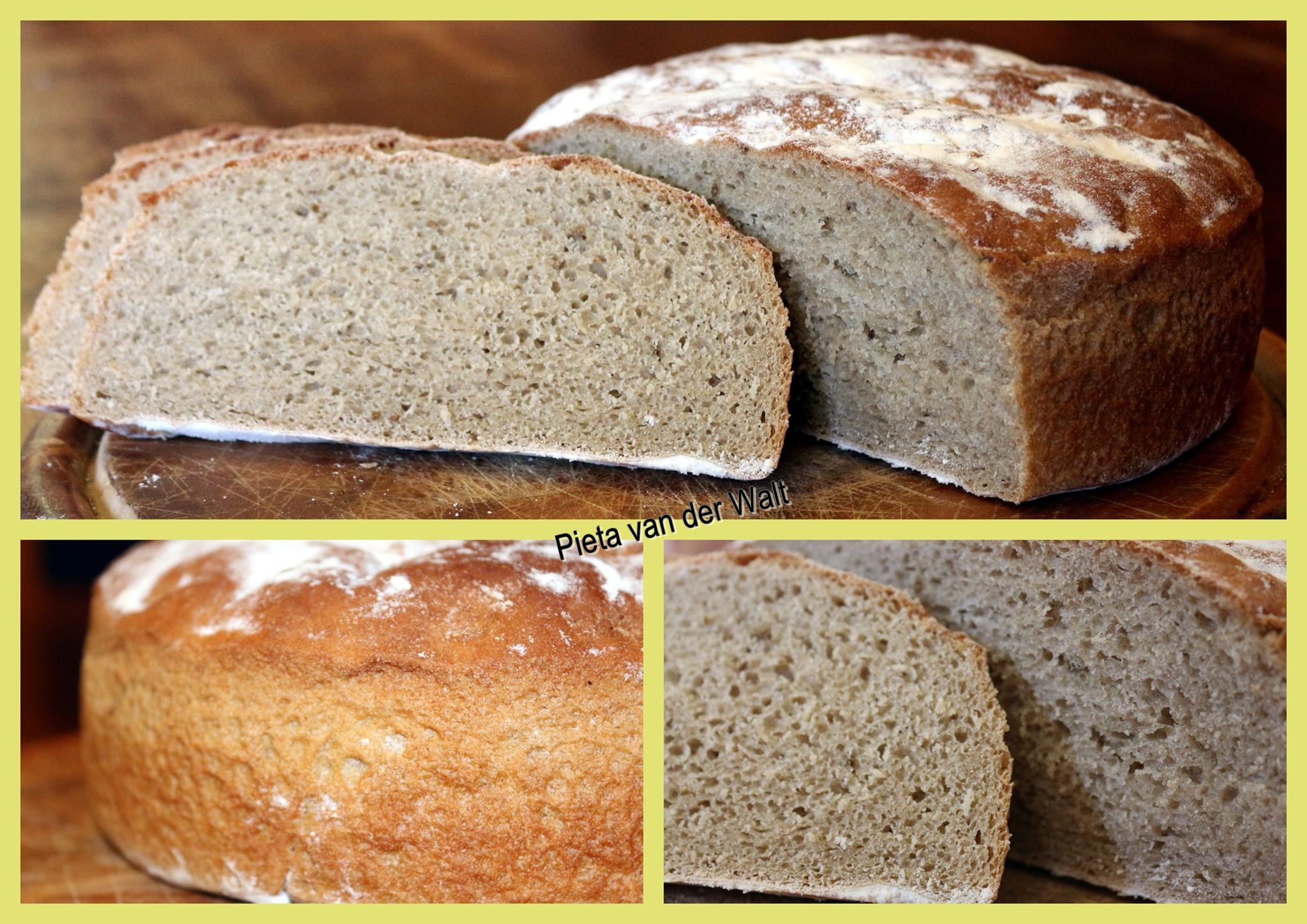 MAKLIKE ROGBROOD - Your Recipe Blog