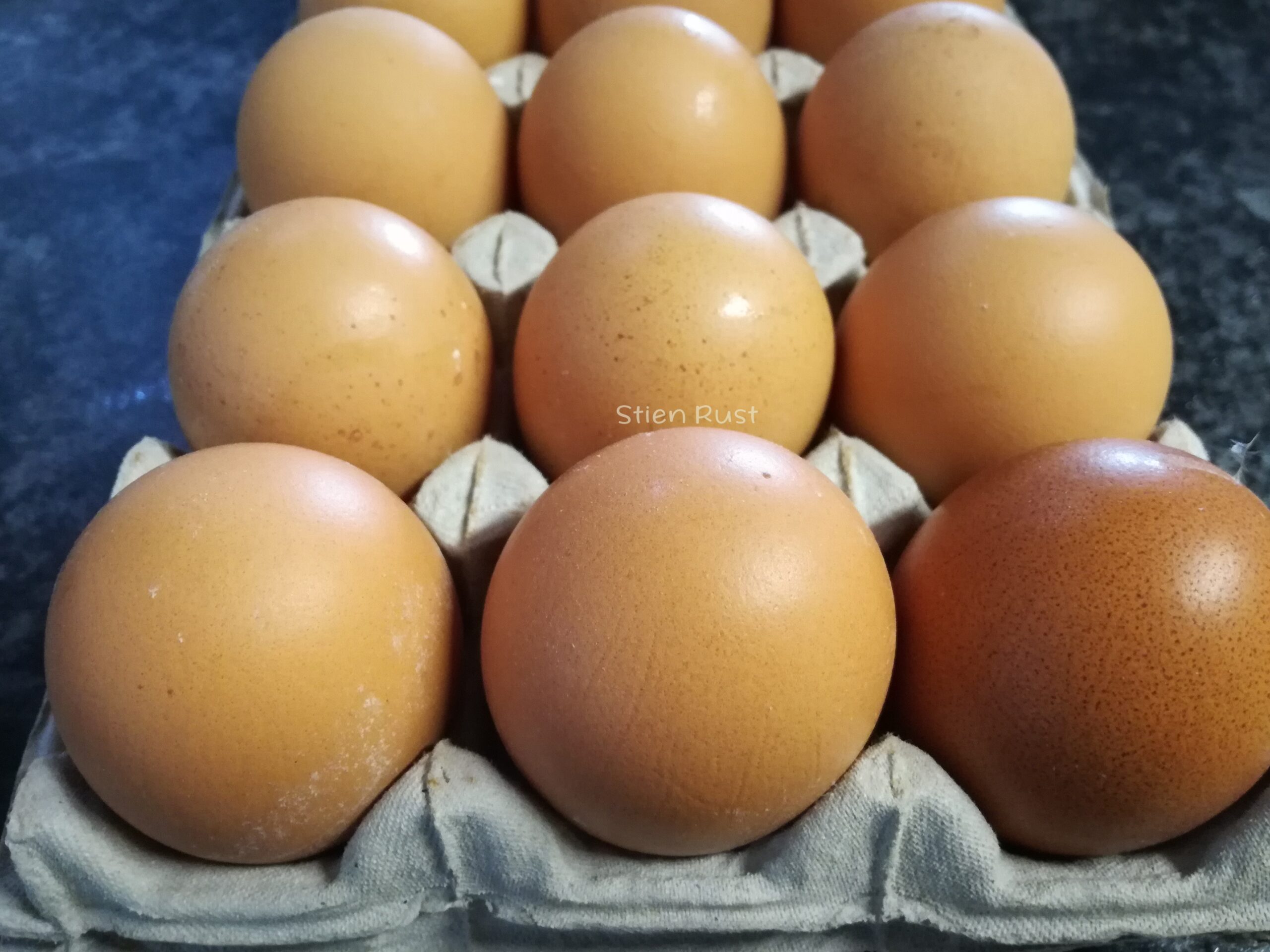 PLAASVERVANGERS VIR EIERS - Your Recipe Blog