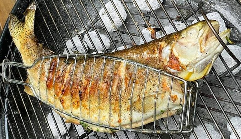 FRESHLY CAUGHT TROUT ON WEBER - Your Recipe Blog