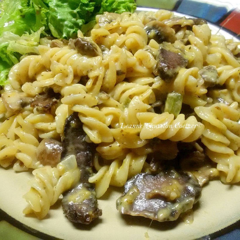 LEANNE SE BILTONG PASTAPOT - Your Recipe Blog